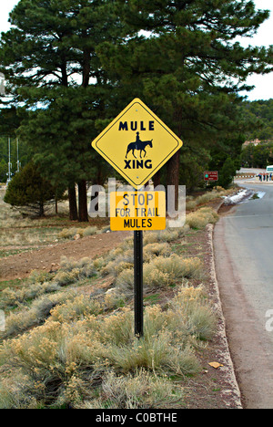 mule crossing sign grand canyon village Stock Photo - Alamy