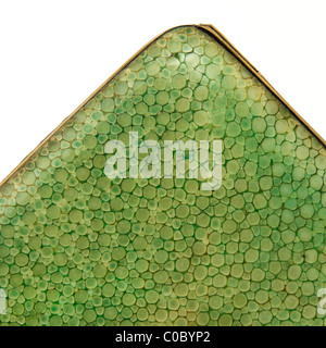 Shagreen (shark skin) cigarette case and cigarette lighter. 1920s Stock ...