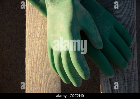 Hands in rubber gloves hold a disposable medical syringe with the drug ...