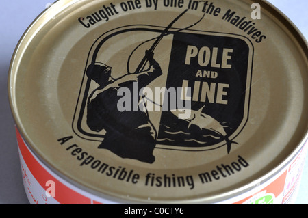 Can of pole and line caught tuna steak Stock Photo - Alamy