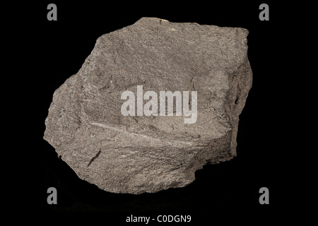 Schist rock sample Stock Photo - Alamy