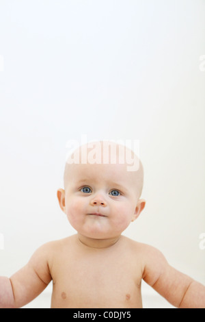 Bald baby in front of white background Stock Photo - Alamy