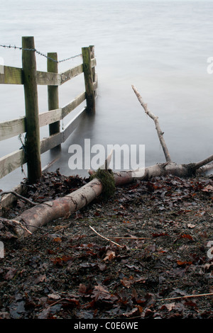A fence down into the water with a branch washed upon the shore of ...