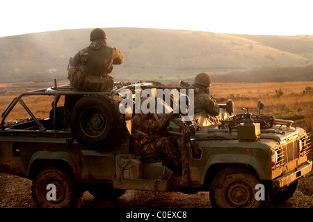 The Pathfinder Platoon during training Stock Photo - Alamy