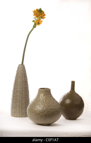 trendy design decorative ceramic vase isolated on white background ...