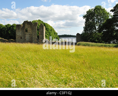 Old Crom Castle ruins, County Fermanagh, Northern Ireland Stock Photo ...