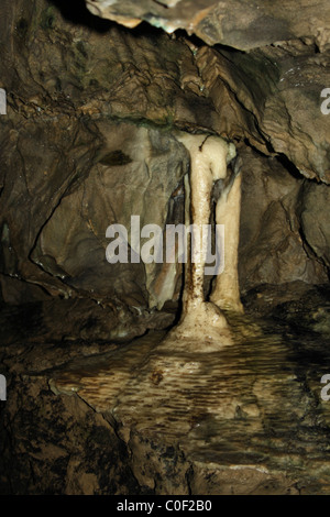Stalagmites and Stalactites at Stump Cross Cave Yorkshire Dales Stock ...