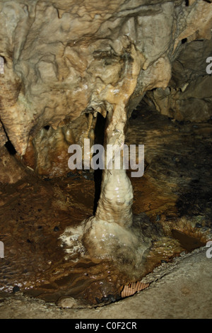 Stalagmites and Stalactites at Stump Cross Cave Yorkshire Dales Stock ...