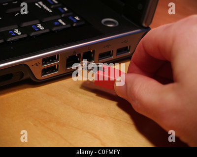 An Ethernet computer cable plugged into a port Stock Photo - Alamy
