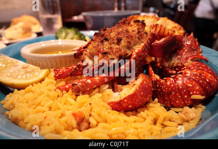 The Lobster Pot in Hamilton, Bermuda Stock Photo - Alamy