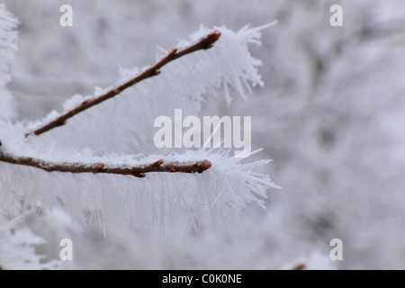 Skyline Drive Near Swift Run Gap, Shenandoah National Park, Virginia ...