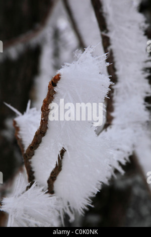 Skyline Drive Near Swift Run Gap, Shenandoah National Park, Virginia ...