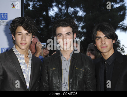 Jonas Brothers, Nick Jonas, Kevin Jonas, Jo Jonas Disney's City of Hope ...
