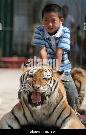 ANIMAL MAGIC These performing beasts wowed the crowds at a circus in ...
