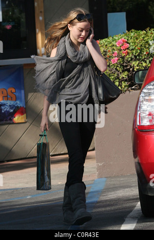 Devon Aoki shopping at Beverly Glen market in Bel-Air Los Angeles ...