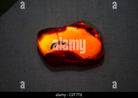 Dominican Republic Santo Domingo Amber Museum Stock Photo - Alamy