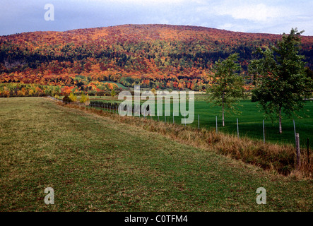 wildlife refuge, Cap Tourmente National Wildlife Reserve, Quebec ...