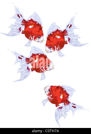 Pattern of Japanese Painting, Goldfish Stock Photo - Alamy