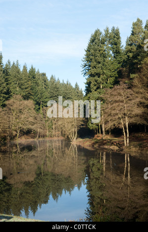 Soudley Ponds in Forest of Dean, Gloucestershire England UK. River ...
