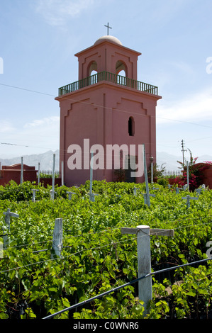 Peru. Ica department. Tacama vineyards Stock Photo - Alamy