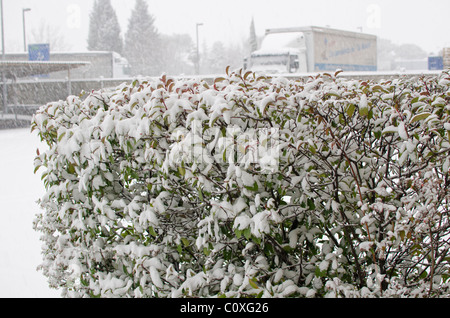 Landscape after a Snowstorm in Italy Stock Photo - Alamy