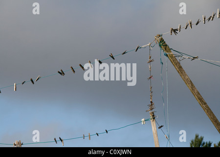 empty washing line and dark sky Stock Photo - Alamy