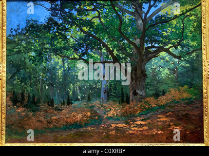 The Bodmer Oak, Fontainebleau Forest - by Claude Monet, 1865 Stock ...