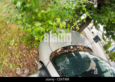 Car Accident against a Tree, Italy Stock Photo - Alamy
