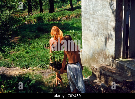Hippies on a 70s 1970s rural hippy hippie commune man shovelling horse ...