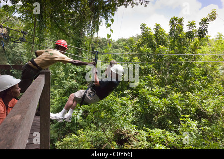 Aerial zipwire forest canopy experience at Jack-in-the-Box Gully ...