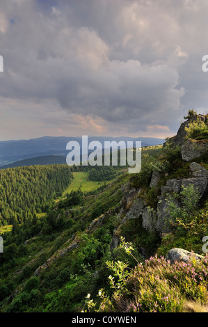 A scenic view of a mountainous landscape with forests and a village on ...