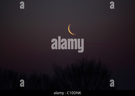 Thin Crescent Moon Stock Photo - Alamy