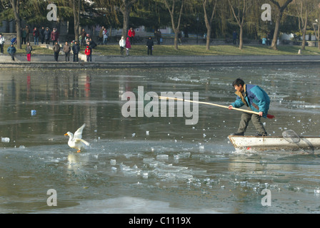 Duck rescued from frozen lake Park workers mastermind the rescue of ...