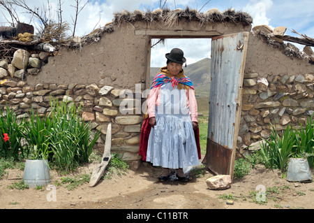 Old Quechua woman in traditional round hat and dress carrying a bunch ...