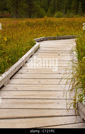 Path Leading through Tall Grass, Chemin montant dans les hautes herbes ...