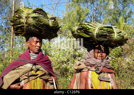 Bonda tribe, Onkudelli, Orissa, India Stock Photo - Alamy
