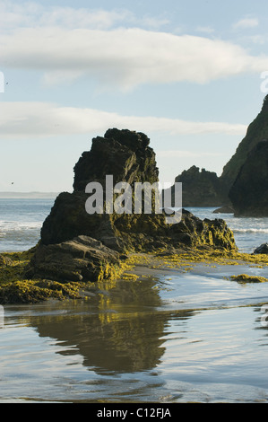 The coastline of Chiloe Island, Chile Stock Photo - Alamy