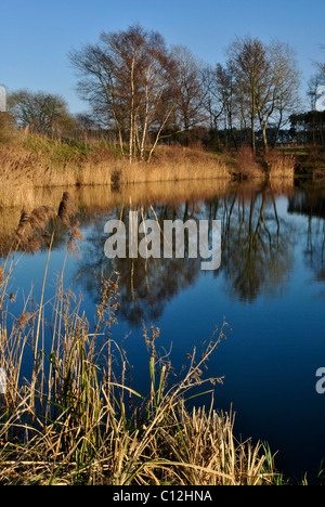 scenes ,lakes nature norfolk Stock Photo - Alamy