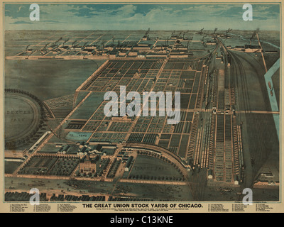 Chicago, Union Stock Yard, 19th Century Stock Photo - Alamy