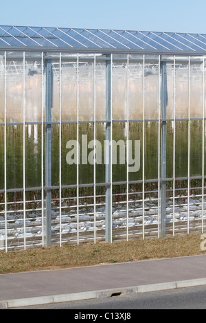 Thanet Earth, Thanet, Kent, UK Stock Photo - Alamy