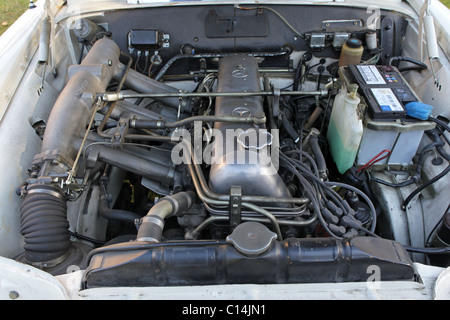 1965 Alfa Romeo Giulia TZ-1 Zagato classic car Stock Photo - Alamy