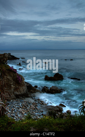 Pacific Grove and Monterey Bay at sunset with pink ice plants in bloom ...