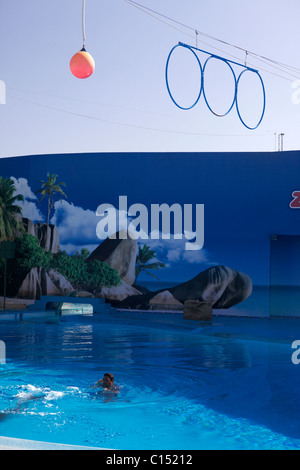 Zoo Marine in Albufeira Portugal dolphin show Stock Photo - Alamy