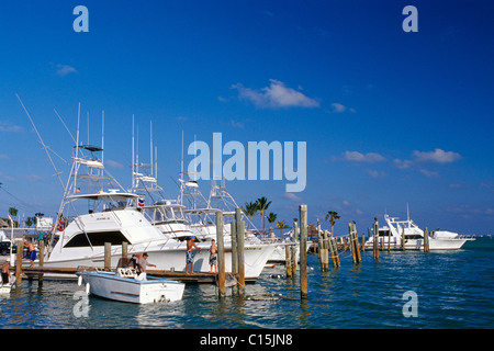 Whale Harbour Islamorada Key Florida Keys Florida USA Stock Photo - Alamy