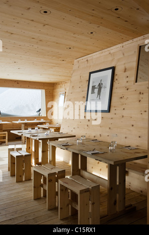 Wooden table and bench in the pine forest in autumn Stock Photo - Alamy