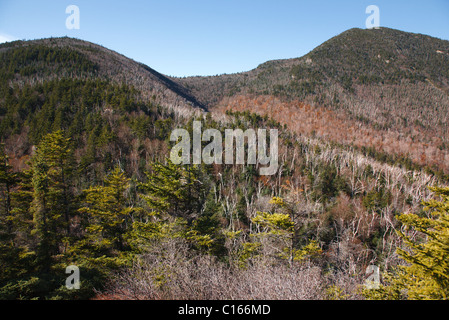Sandwich Range Wilderness - Mount Passaconaway from Square Ledge in the ...