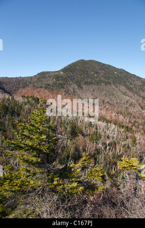 Sandwich Range Wilderness - Mount Passaconaway from Square Ledge in the ...