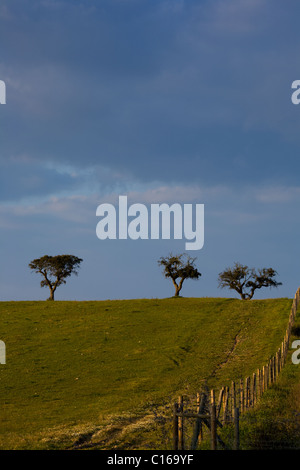Traditional Alentejo landscape, Portugal Stock Photo - Alamy