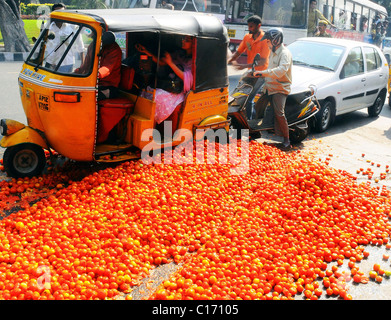 Farmers protest by dumping tomatoes Indian tomato farmers dump tons of ...