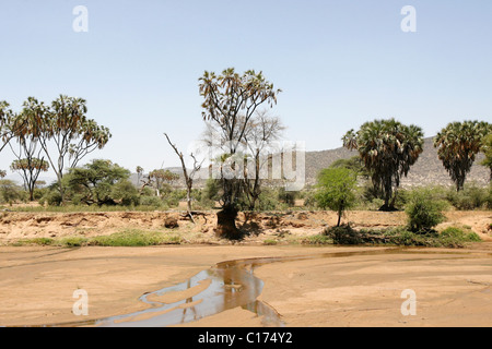 The Ewaso Ng'iro river which runs through the Samburu National Reserve ...
